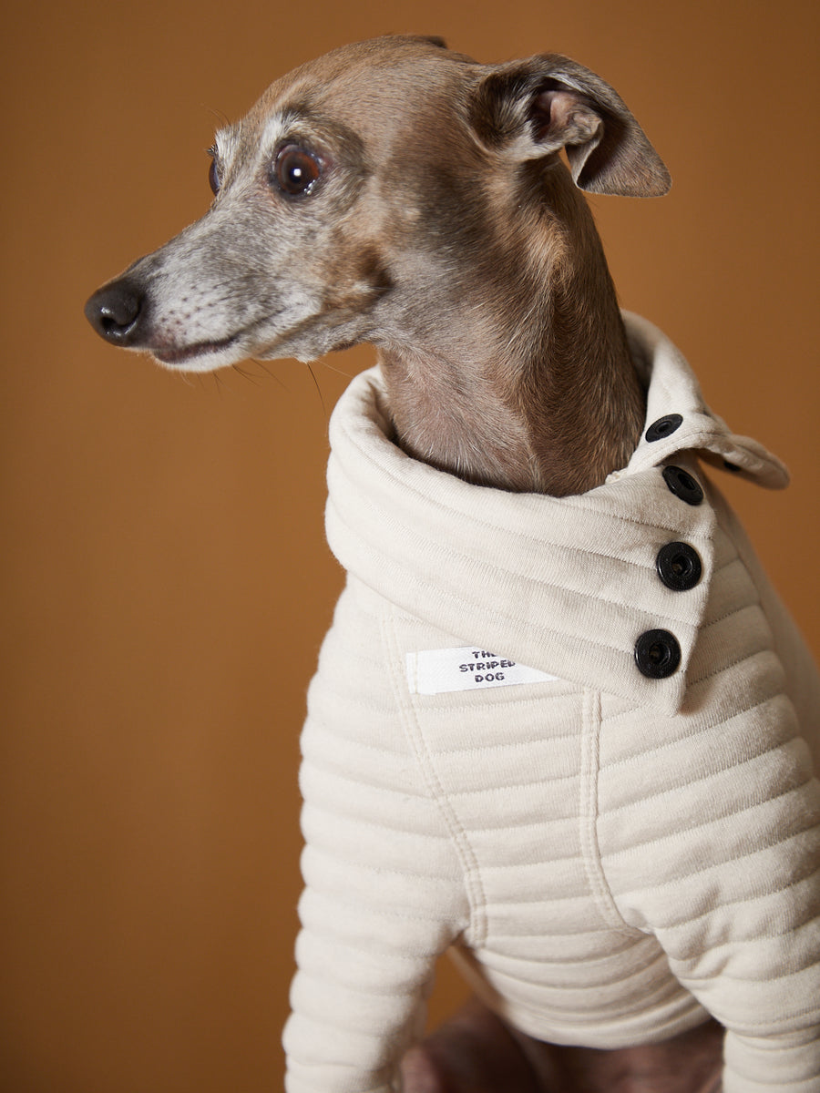 Sand Quilted Turtleneck Sweater for Italian Greyhound and Whippet – The ...