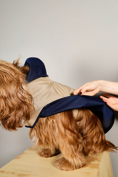 Sand Waterproof Hooded Cape for Dogs – The Striped Dog