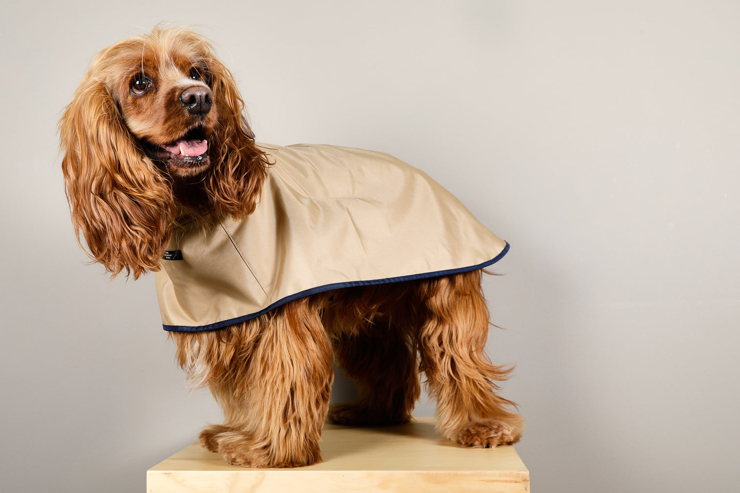 Sand Waterproof Hooded Cape for Dogs – The Striped Dog