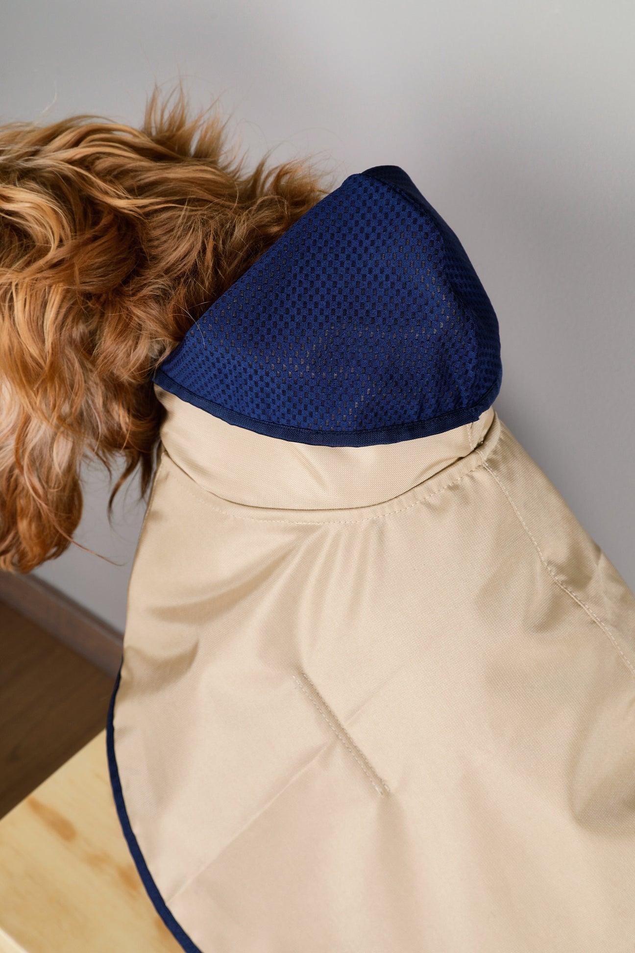 Sand Waterproof Hooded Cape for Dogs – The Striped Dog