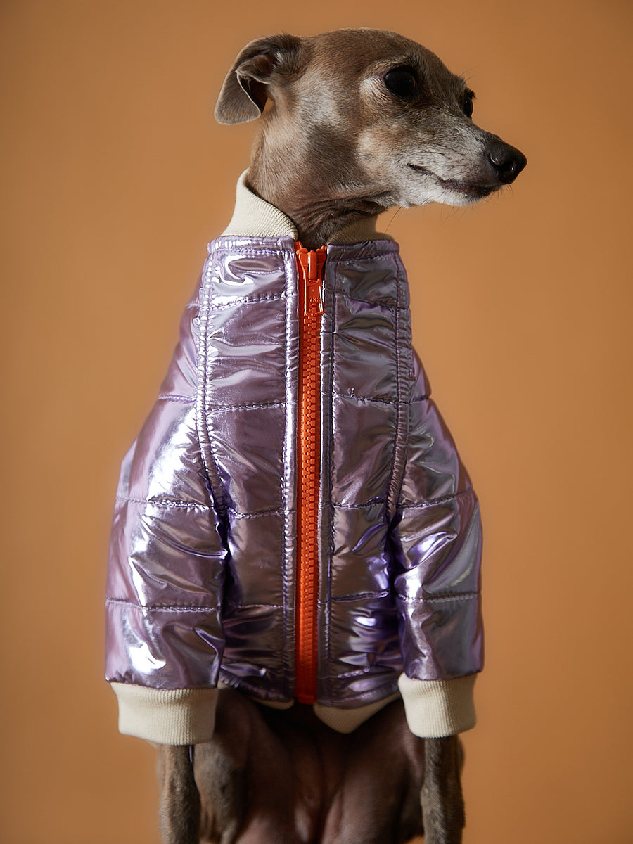 Italian Greyhound / Whippet Metallic Lilac Bomber Jacket with Zipper ...