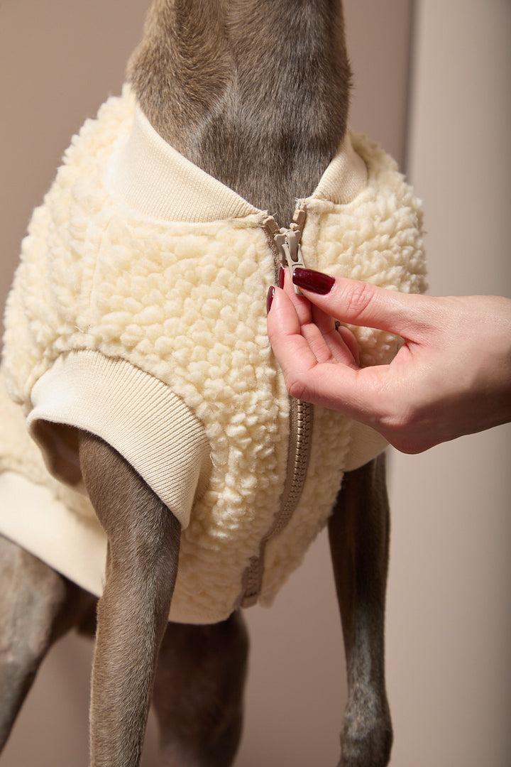 Ivory Sherpa Vest for Italian Greyhound and Whippet – The Striped Dog