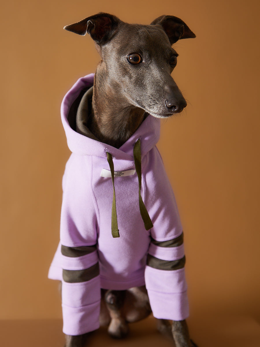 Lilac Hoodie for Italian Greyhound and Whippet – The Striped Dog