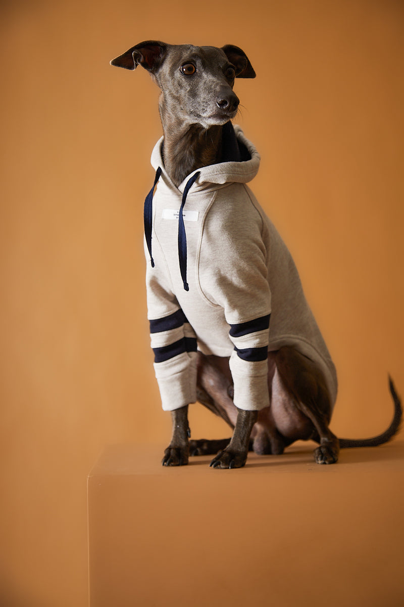Sand Hoodie for Italian Greyhound and Whippet – The Striped Dog