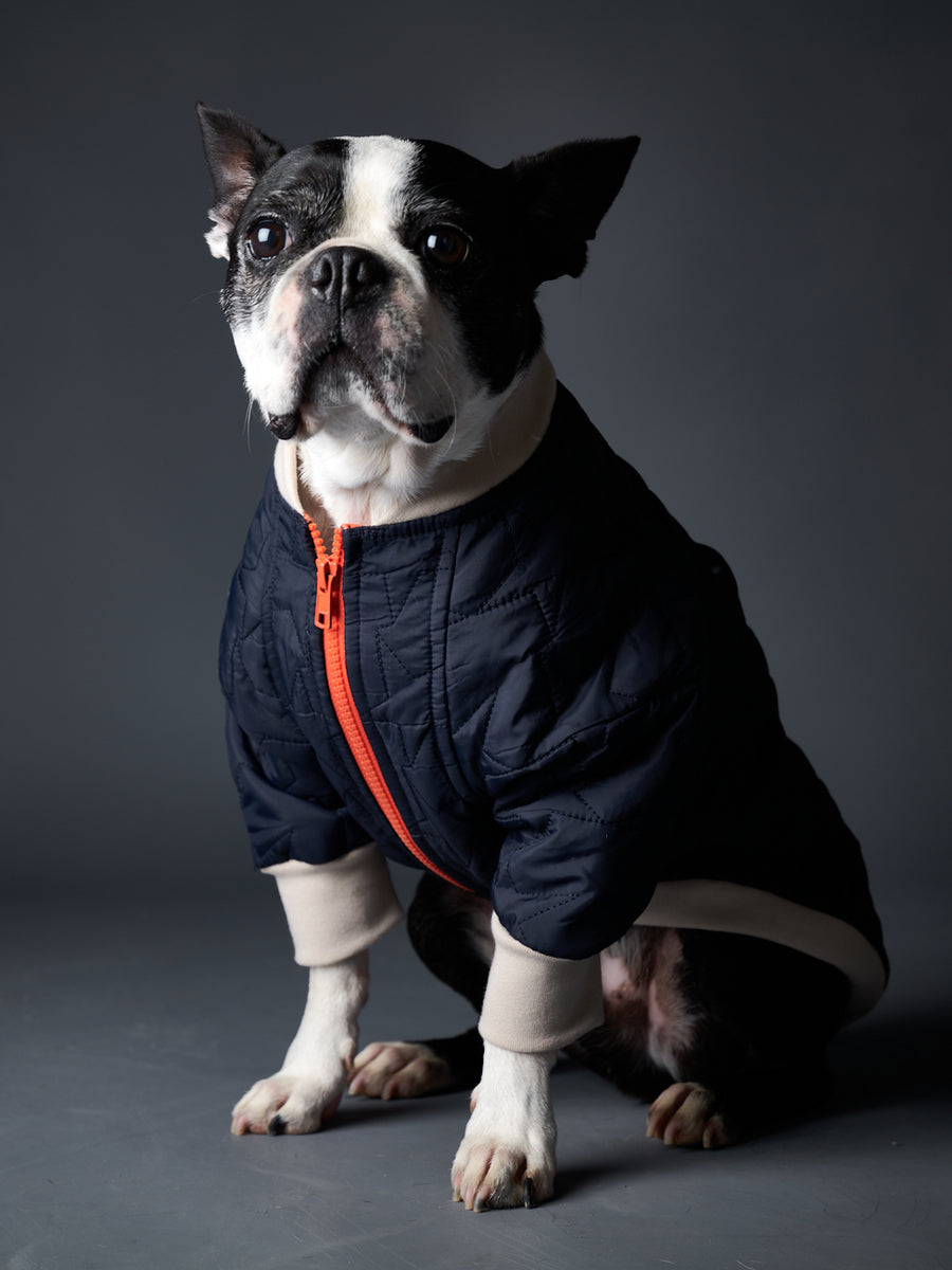 Blue Waterproof Bomber Jacket with Zipper for Dogs – The Striped Dog