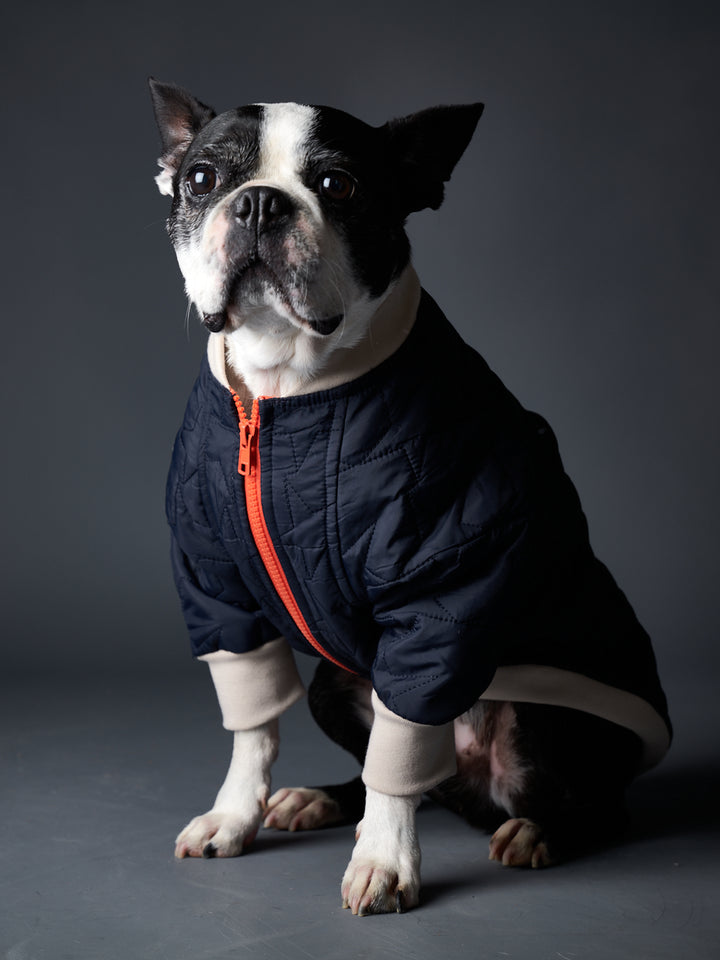 JACKETS – The Striped Dog